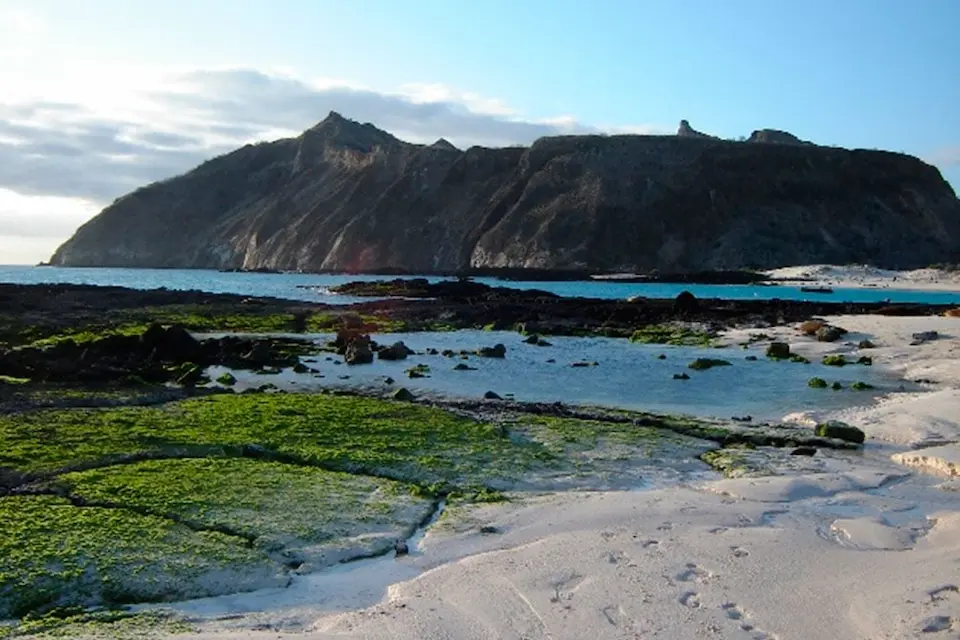 Galapagos Volcanic Activity: Discover the Archipelago