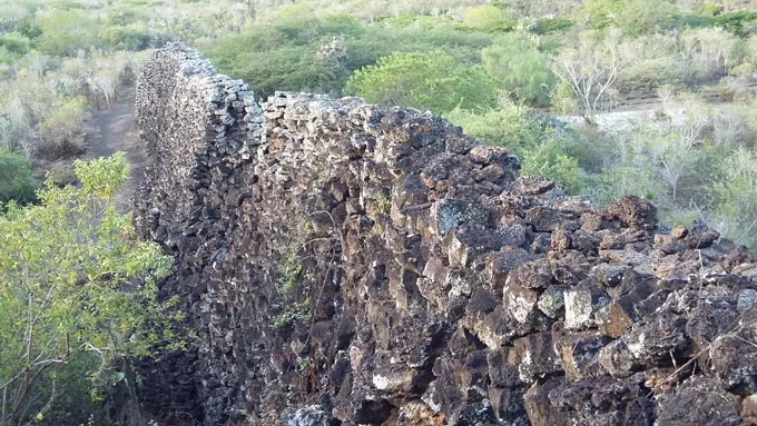 Galapagos History: Unveiling the Secrets of Evolution